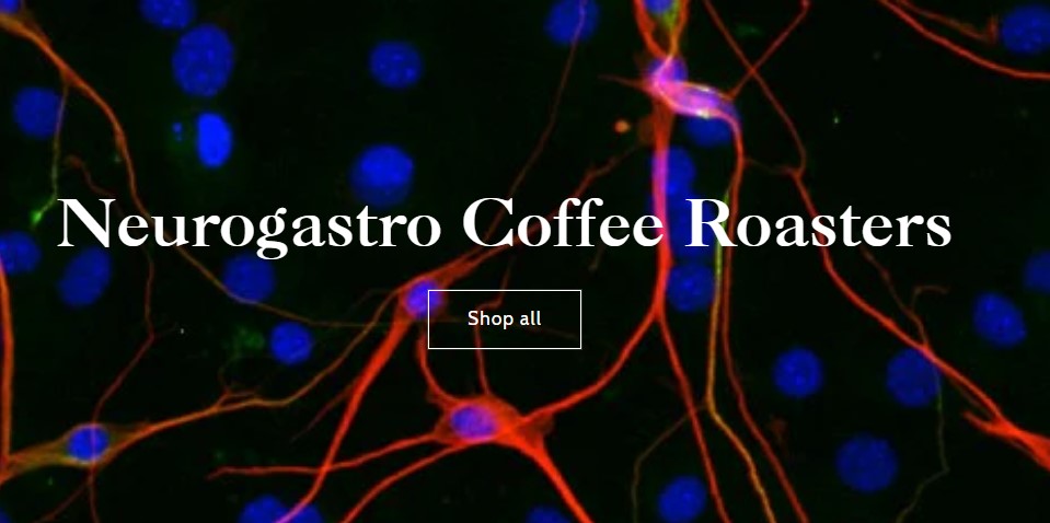 The Enteric Nervous System (ENS) – Neurogastro Coffee Roasters